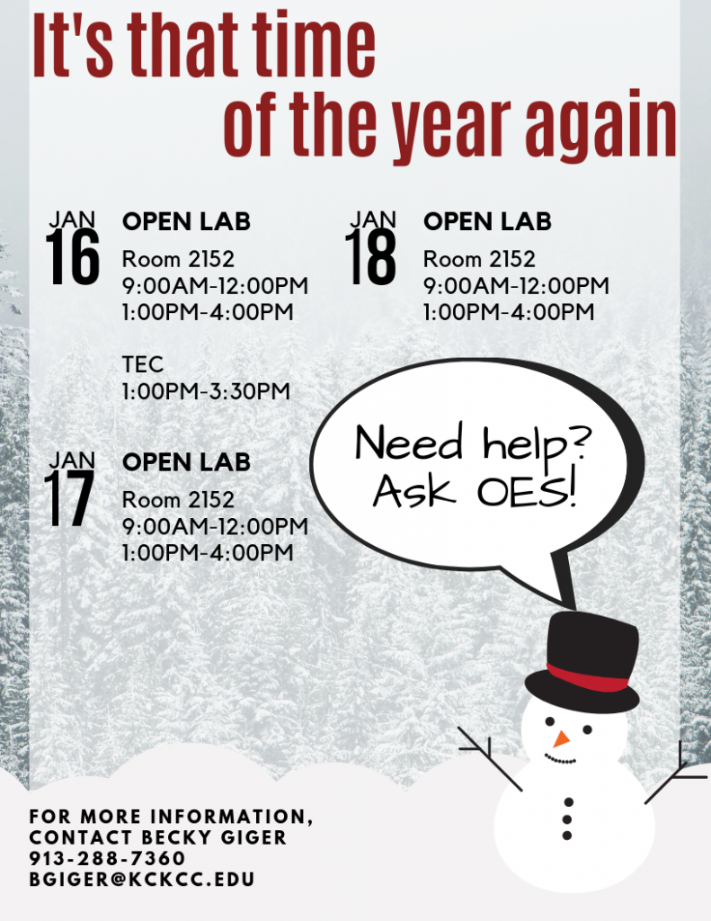 Open Lab – Online Education Services Support Blog